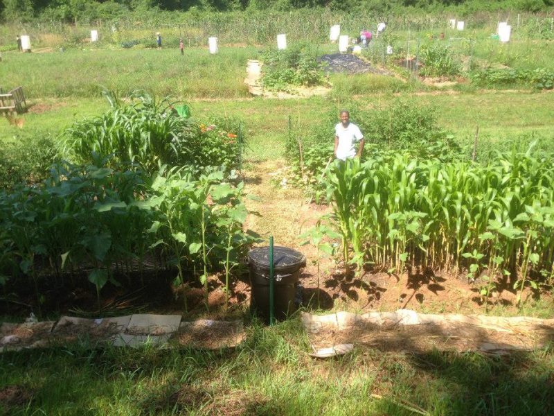 ABOUT US - Pinewood Springs Farm